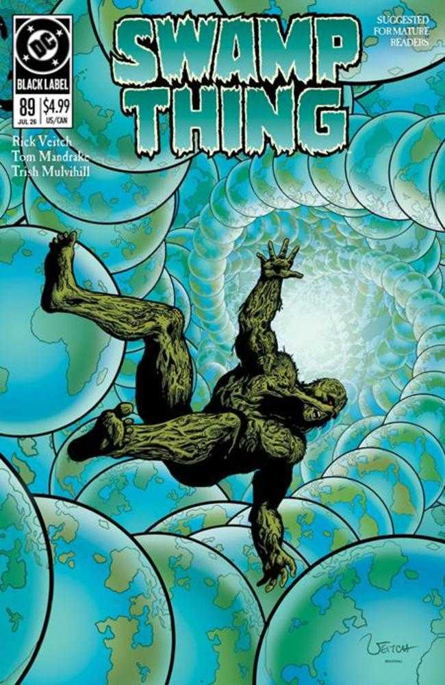 Swamp Thing 1989 #2 (Of 4) Cover A Rick Veitch (Mature) – Comic City